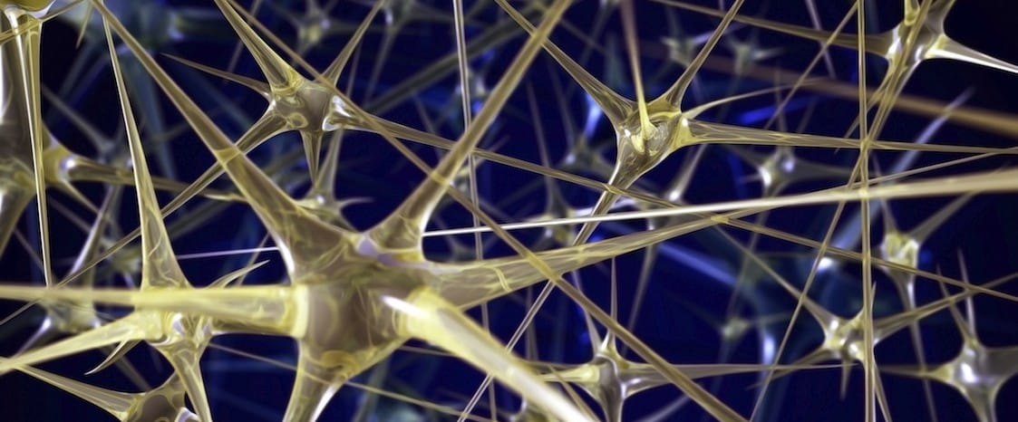 How Addiction Happens in the Brain - Promises Behavioral Health