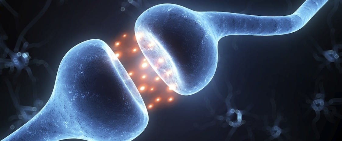 Newly Discovered Brain Mechanism Helps Explain Addiction - Promises ...